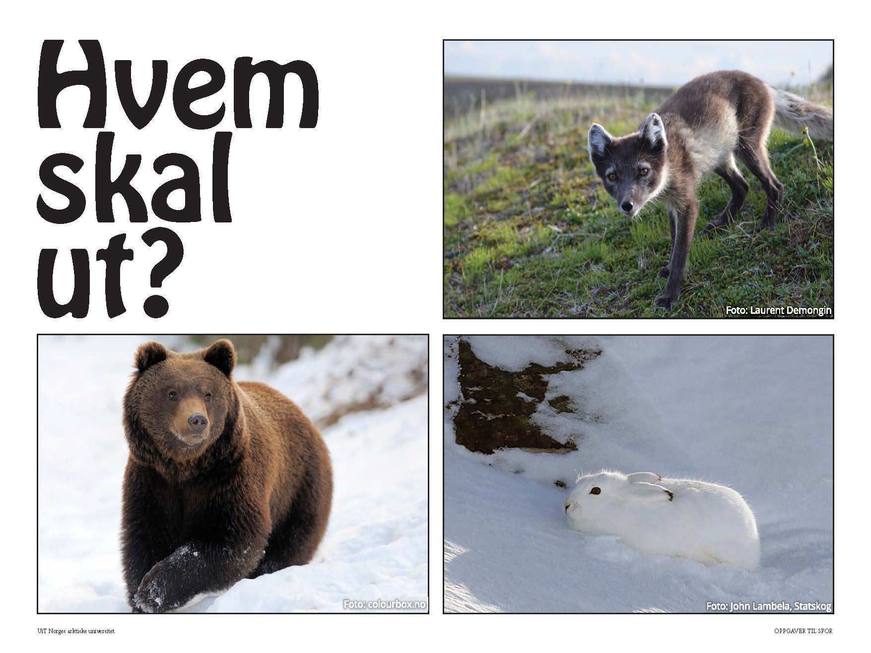 COAT > Publikasjoner > COAT populærvitenskapelige arbeider og bøker ...